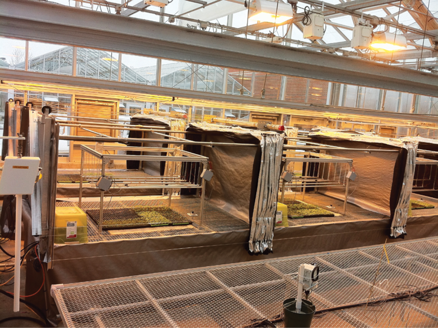 25 Tips for Improving Greenhouse Efficiency – Total Energy Group