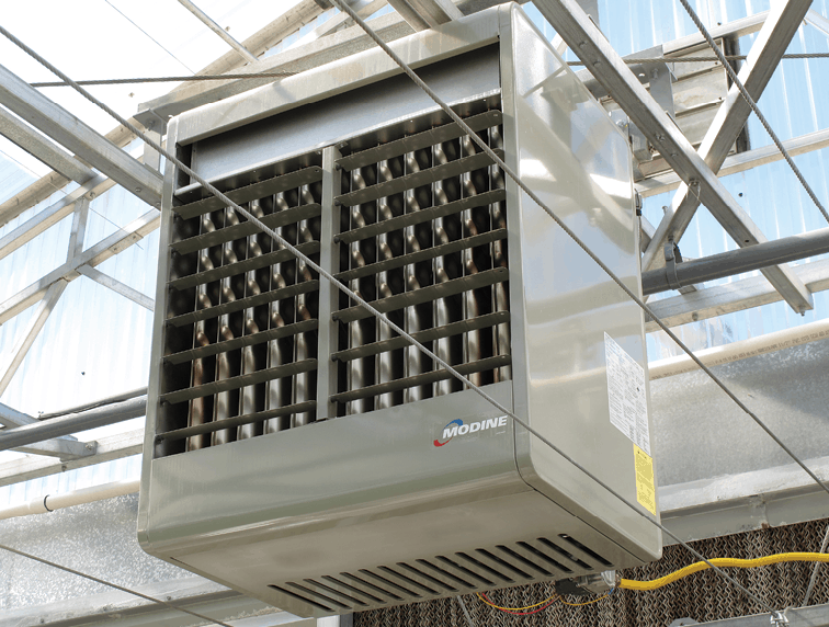 Managing Root Zone Heating Systems – Total Energy Group