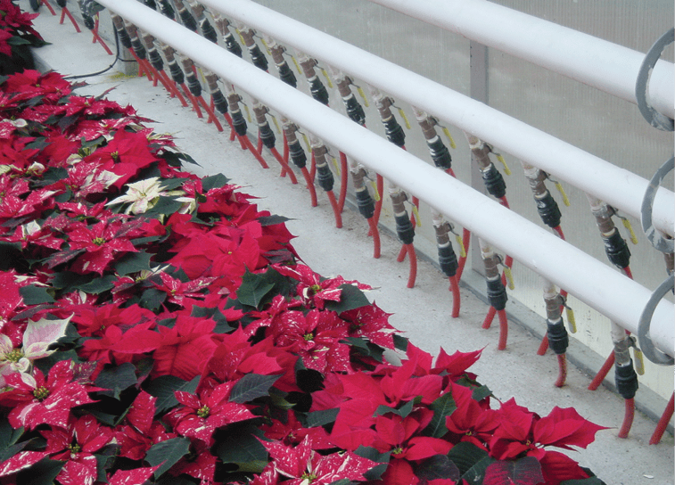 Managing Root Zone Heating Systems – Total Energy Group