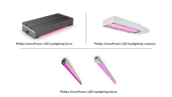 Signify Launches New LED Toplights – Total Energy Group