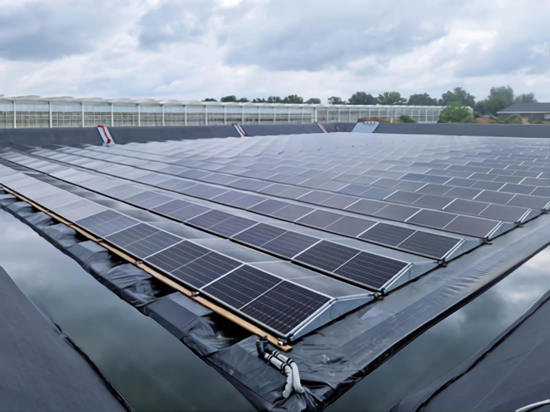 Dutch Plant Nursery’s Entire Water Basin Covered With Solar Panels ...